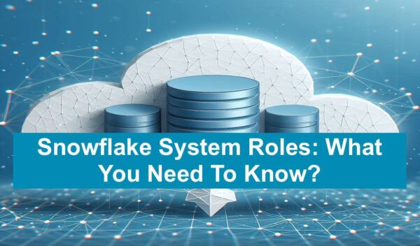 Snowflake System Roles: What You Need To Know?